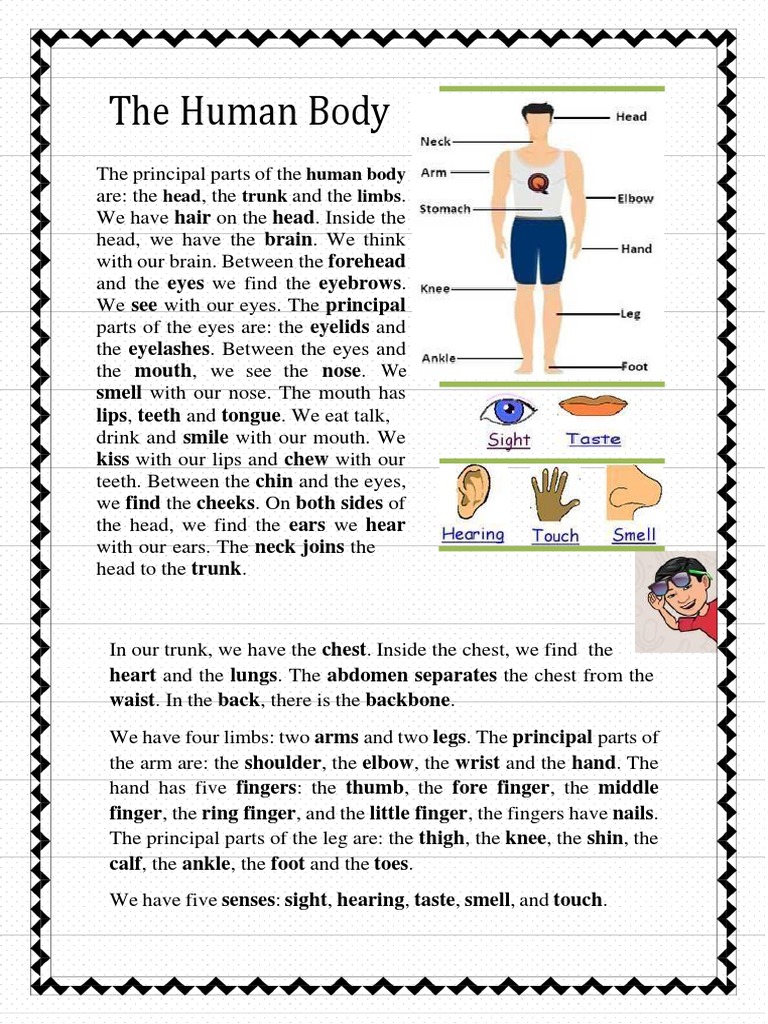 Reading Activity. Parts of The Body | PDF | Career & Growth | Language ...