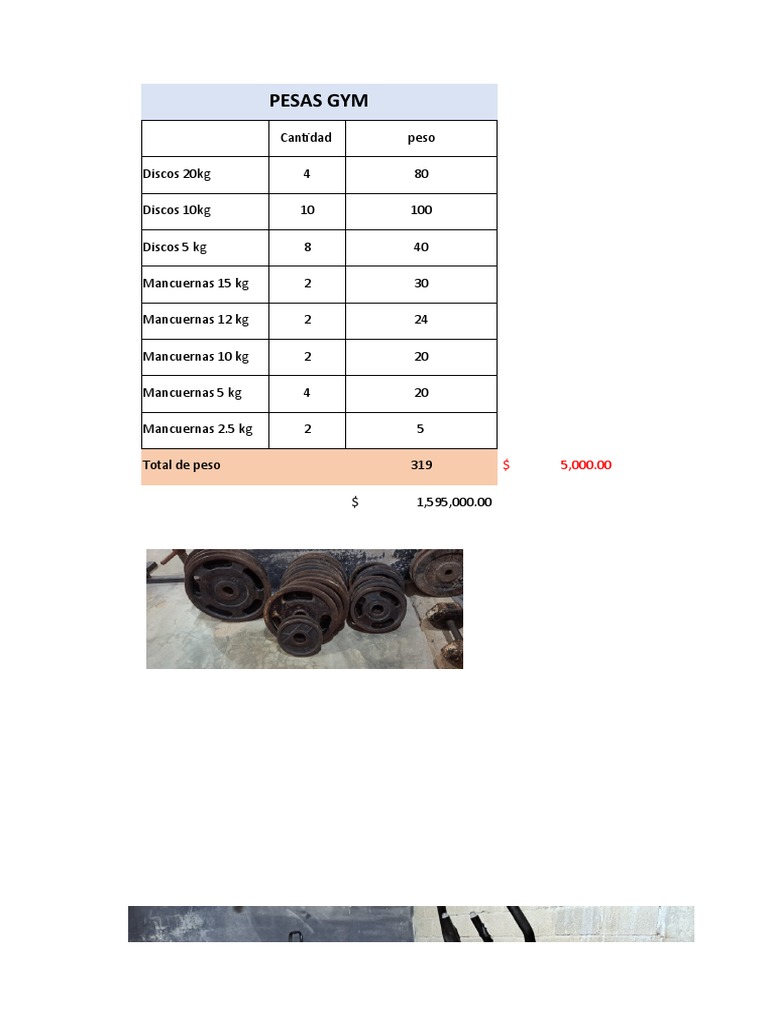 Inventario GYM | PDF