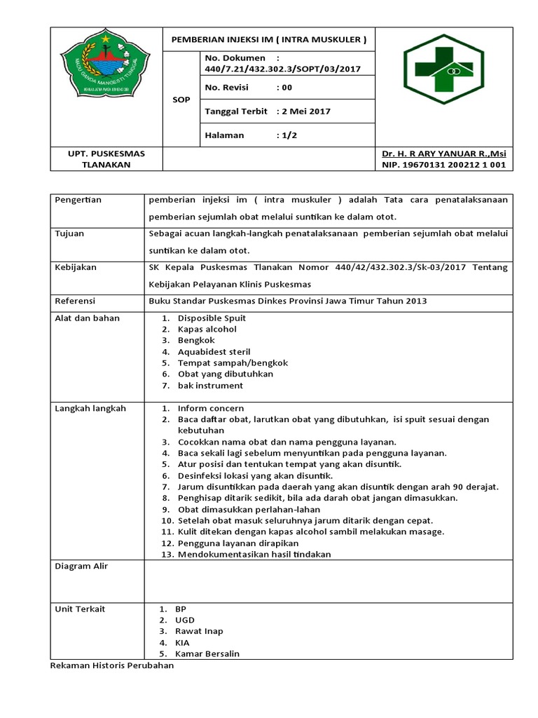 Pemberian Injeksi Im | PDF