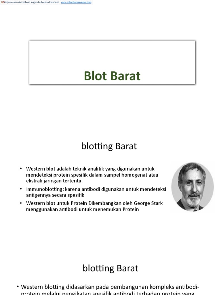 Western Blotting - En.id | PDF
