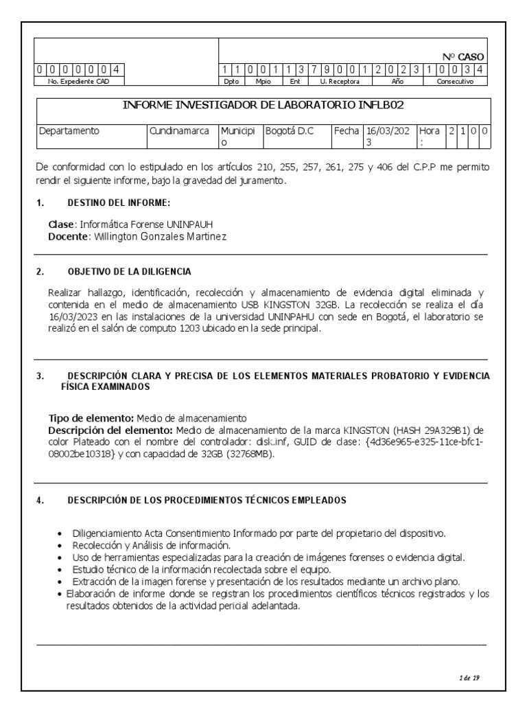 FPJ-13 Infor. Investigador Laboratorio - E01 | PDF | Juegos y ...