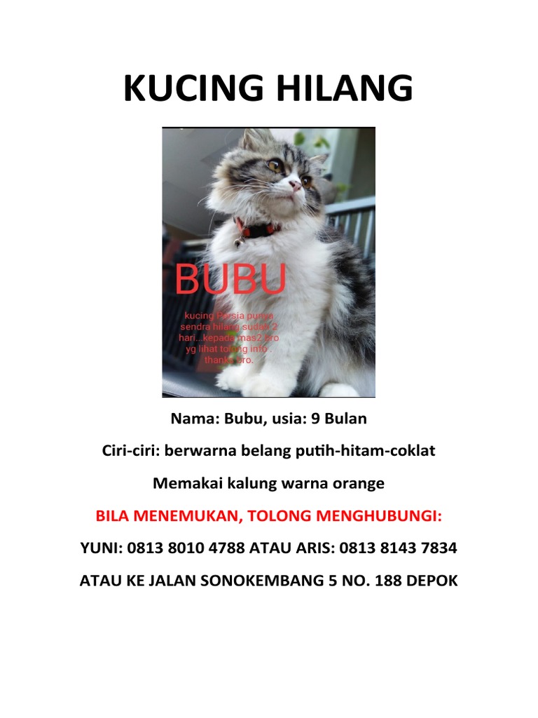 Kucing Hilang Bubu | PDF