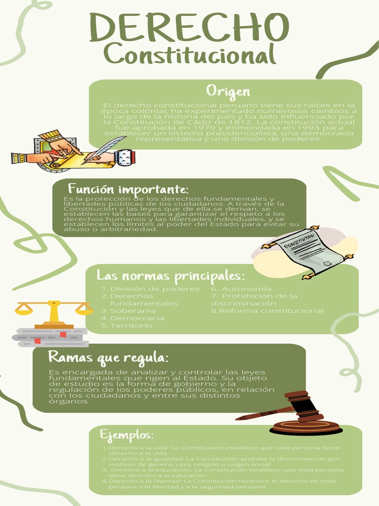 Infografia de La Rama Del Derecho Constitucional | PDF