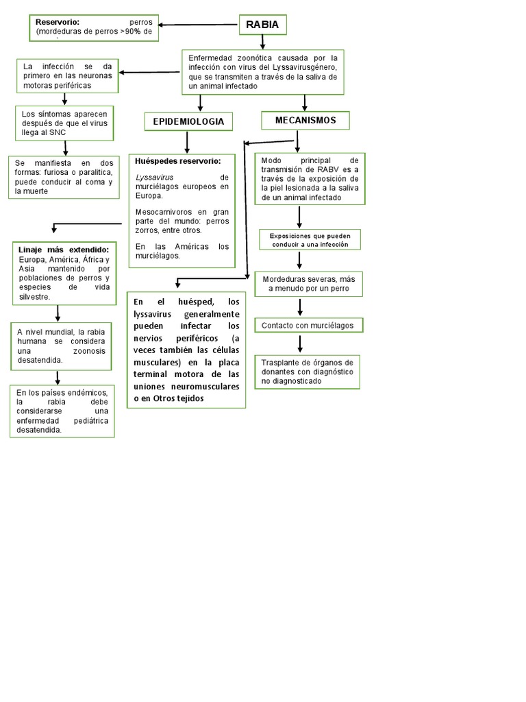 Rabia: Transmisión y Epidemiología | PDF | Ciencia y matemáticas