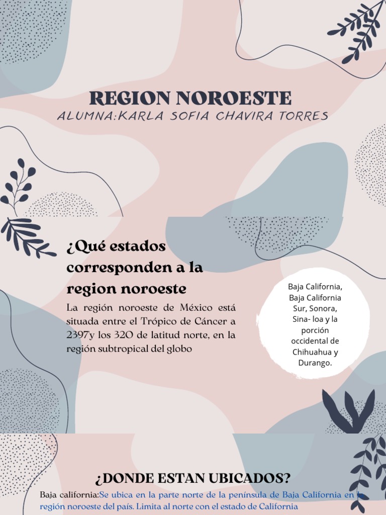 Region Noroeste | PDF | Chihuahua (estado) | Sonora