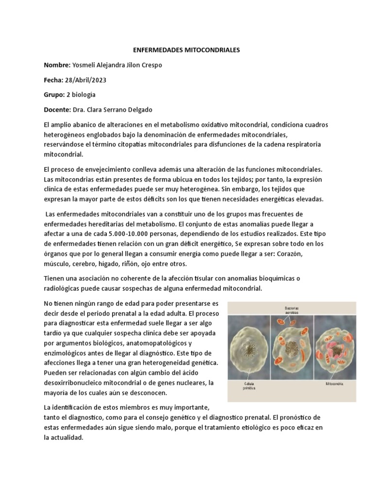 Enfermedades Mitocondriales | PDF | Mitocondria | Enfermedades y trastornos humanos