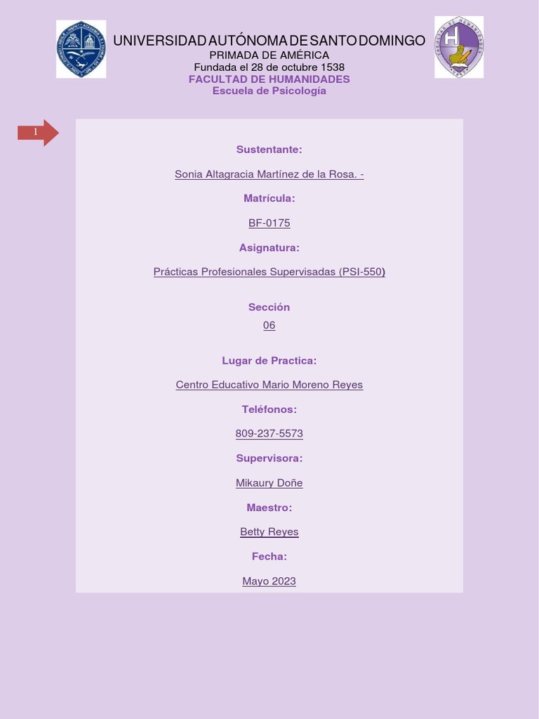 Informe Final PPS | Descargar gratis PDF | Universidad | Sicología