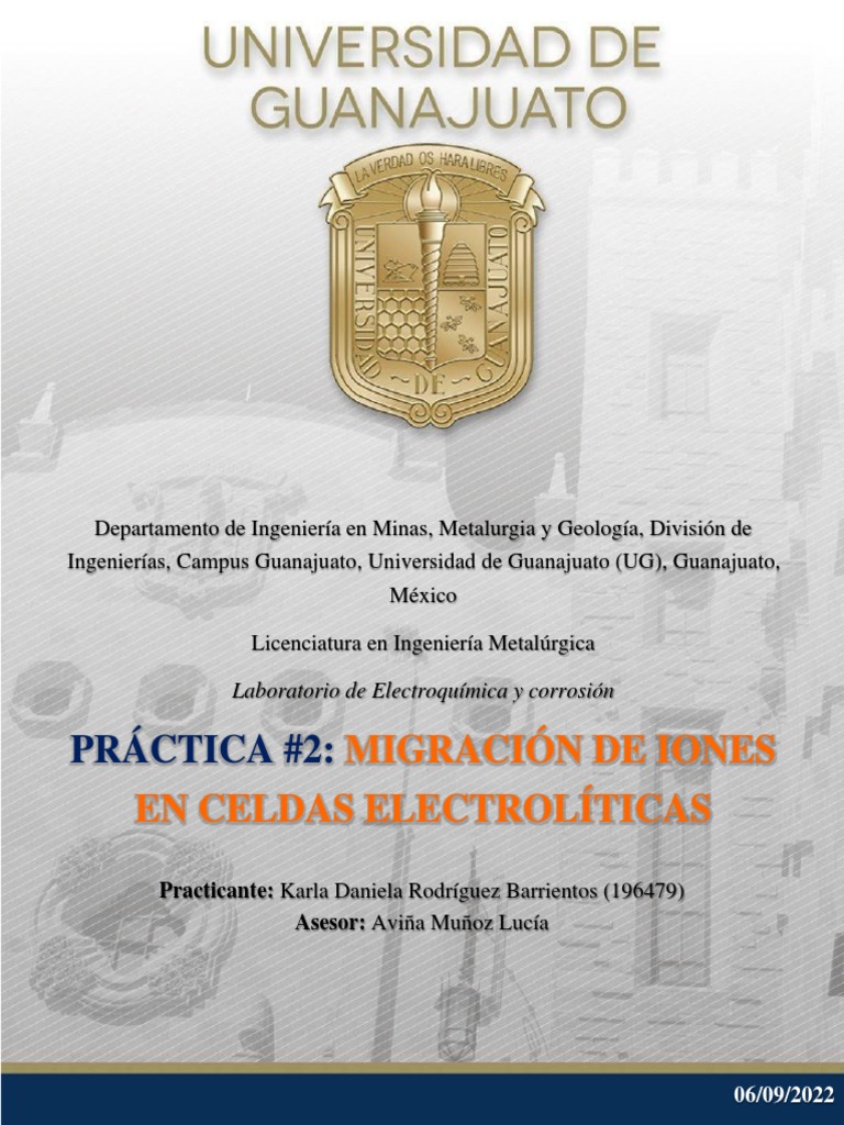 Lab Electroquímica-Práctica #2-Migración de Iones-Kdrb-196479 | PDF