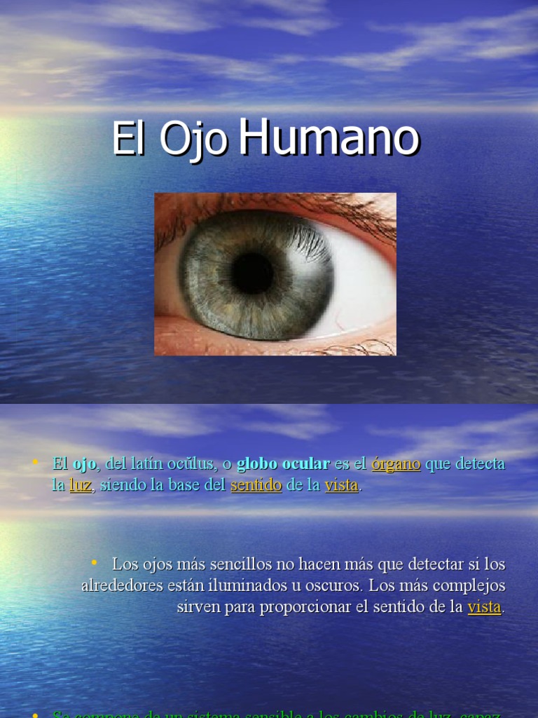 El Ojo Humano | PDF | Ojo humano | Oftalmología