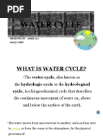 Process - The Water Cycle in Nature | PDF