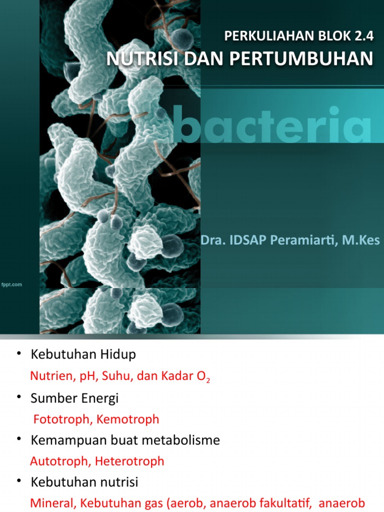 Bakteri 2 (Nutrisi dan Pertumbuhan) | PDF Bakteri 2 (Nutrisi dan Pertumbuhan) | PDF