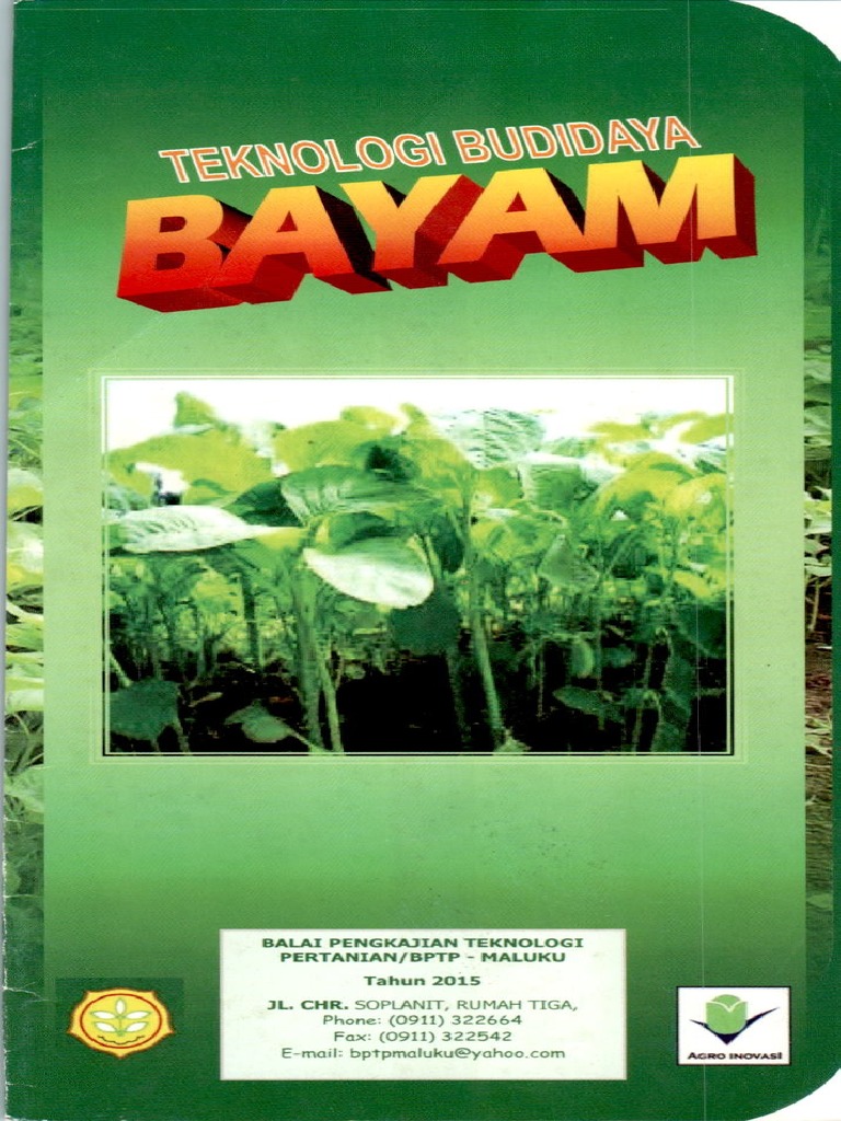 Bayam | PDF