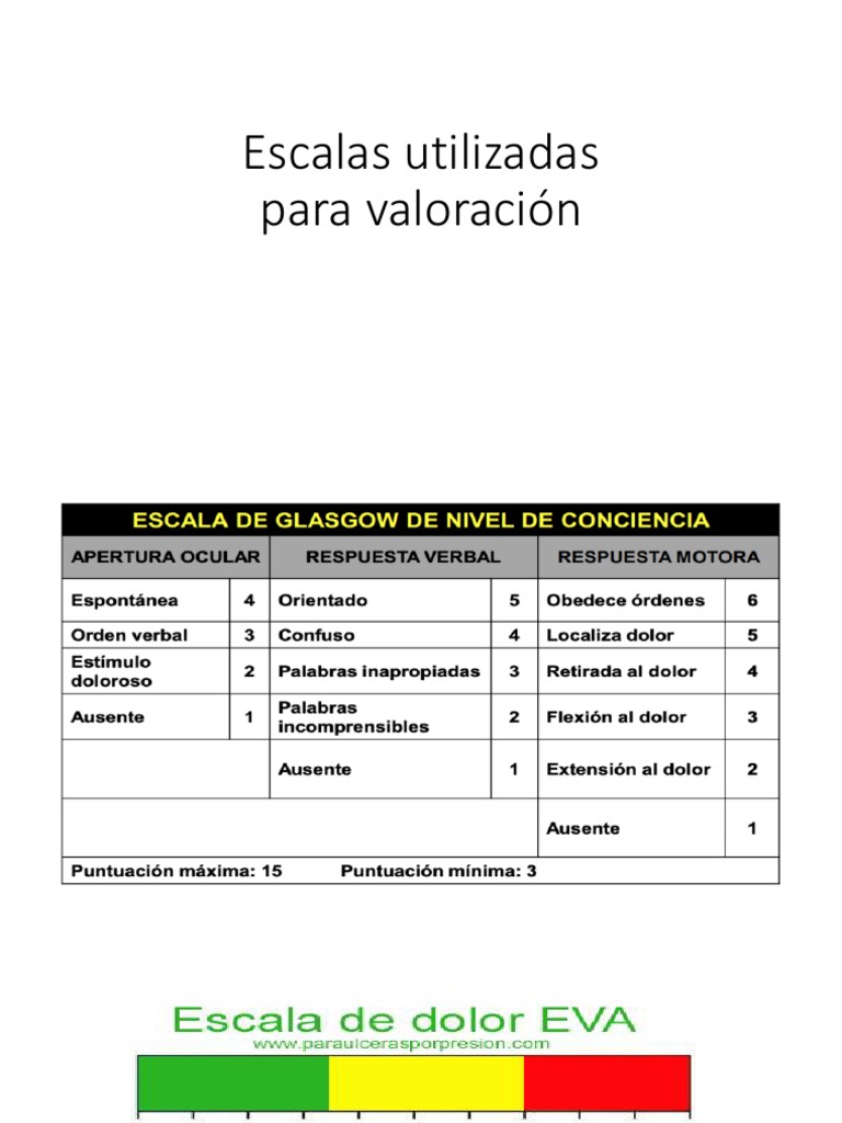 9.1 Escalas Utilizadas | PDF