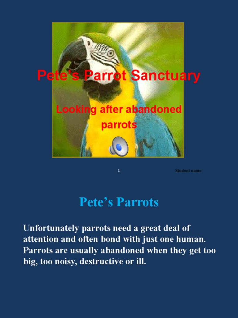 Pete's Parrots Presentation | PDF