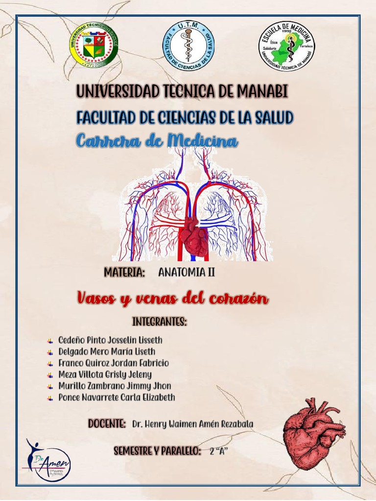 INFORME VENAS Y VASOS DEL CORAZÓN. | PDF | Corazón | Vena