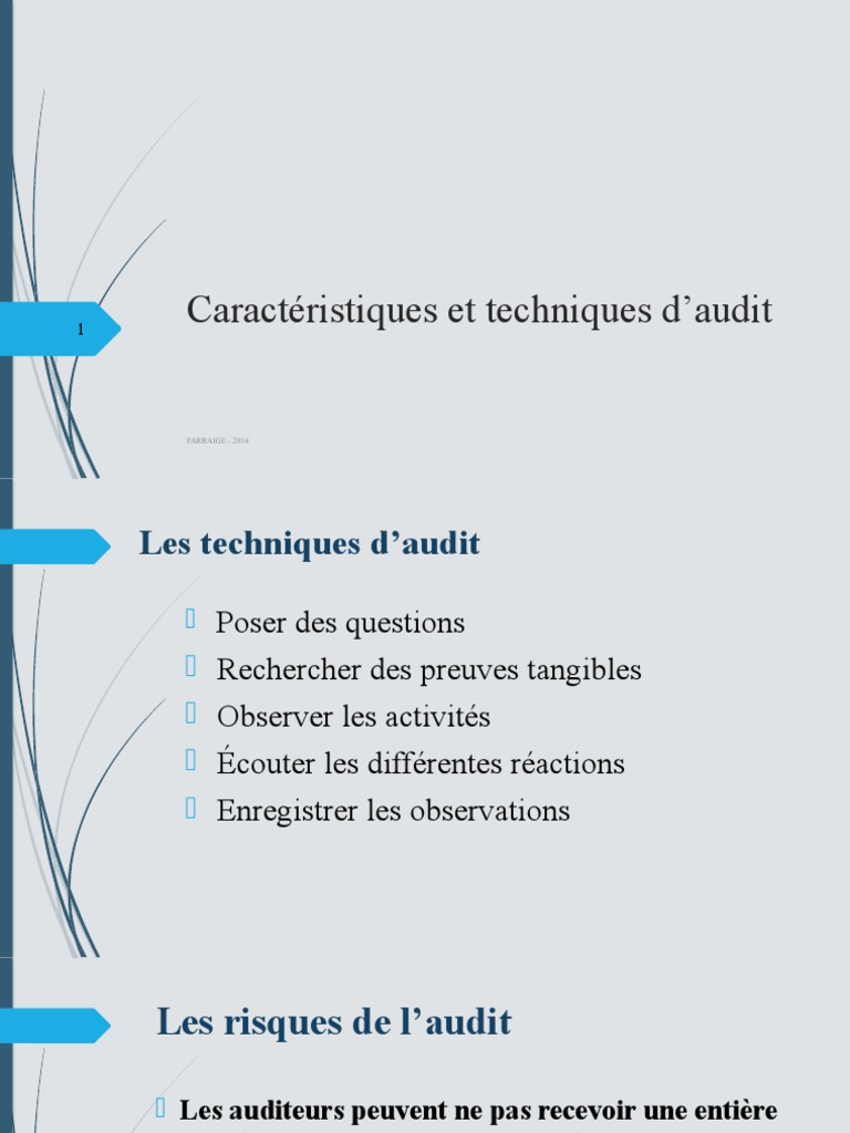 Audit Interne - 4 - Caractéristiques Et Techniques D'audit | PDF | Audit