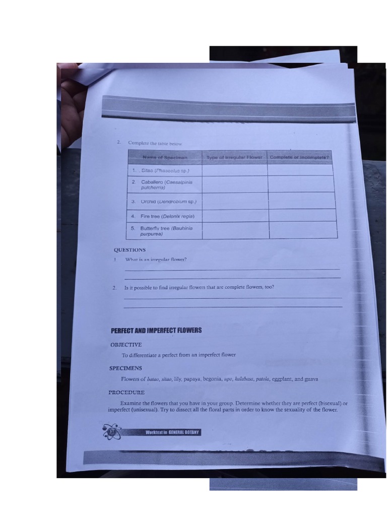 Botany Exercises | PDF