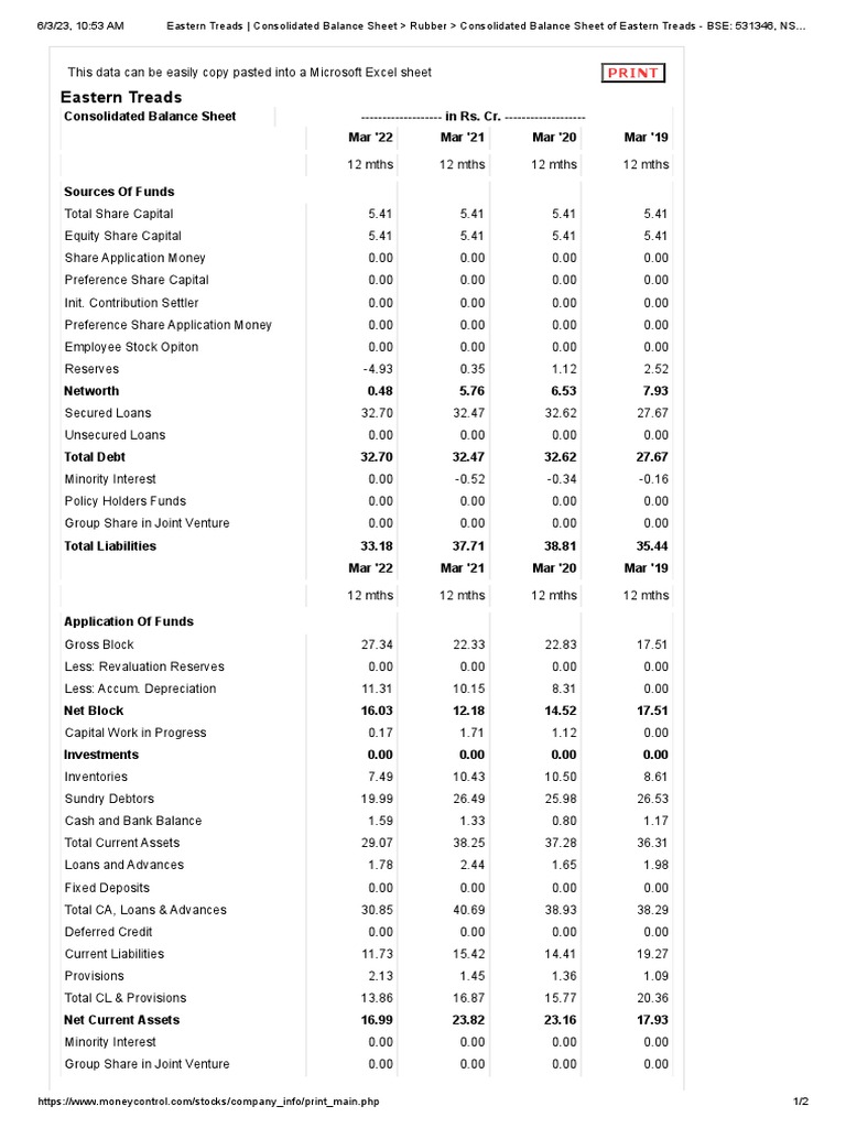 Company Info - Print Financials | PDF | Balance Sheet | Book Value
