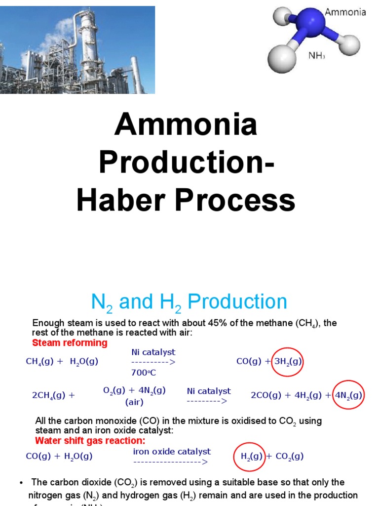 Ammonia-Haber Processppt | PDF | Ammonia | Reaction Rate