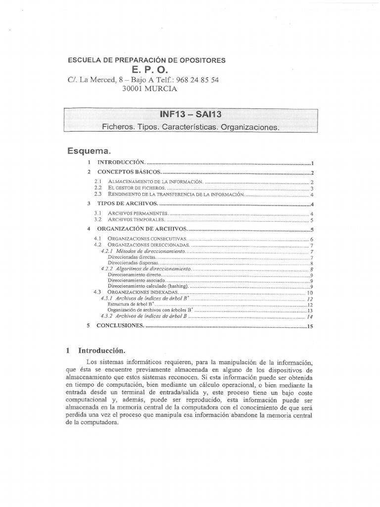 Tema 13 Epo | PDF