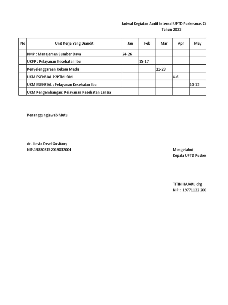 Audit Internal DM Lansia | PDF