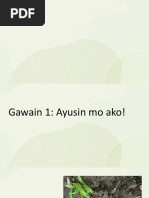 Sektor NG Paggugubat | PDF