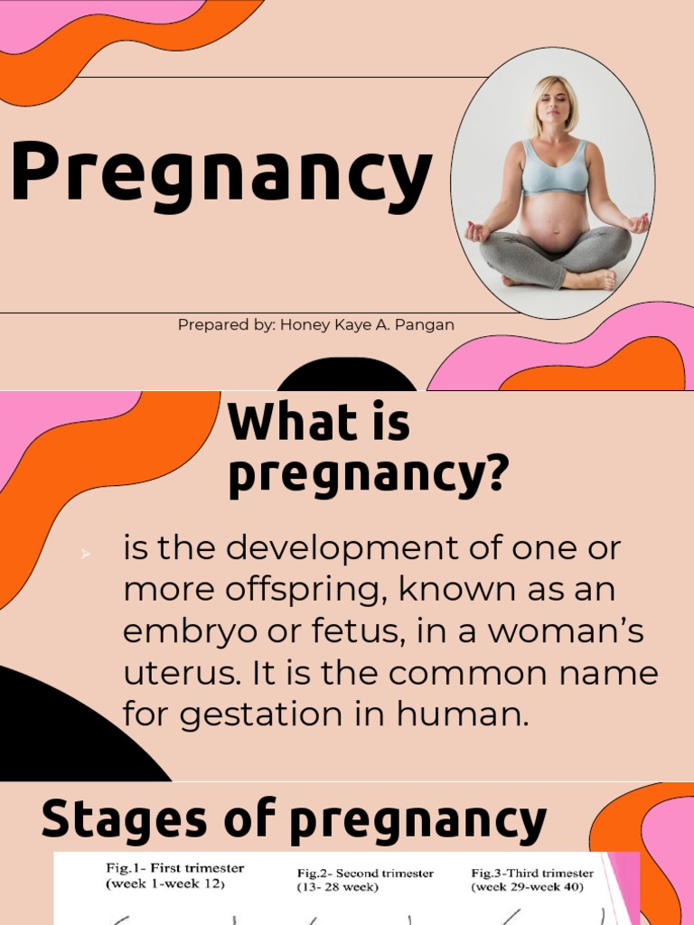 Pregnancy Guide for Expectant Mothers | PDF | Pregnancy | Childbirth