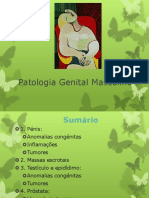 Anatomia do Peritônio e Cavidade Peritoneal | PDF | Peritônio | Corpo ...