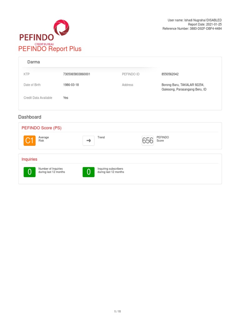 PEFINDO Report Plus: Dashboard | PDF