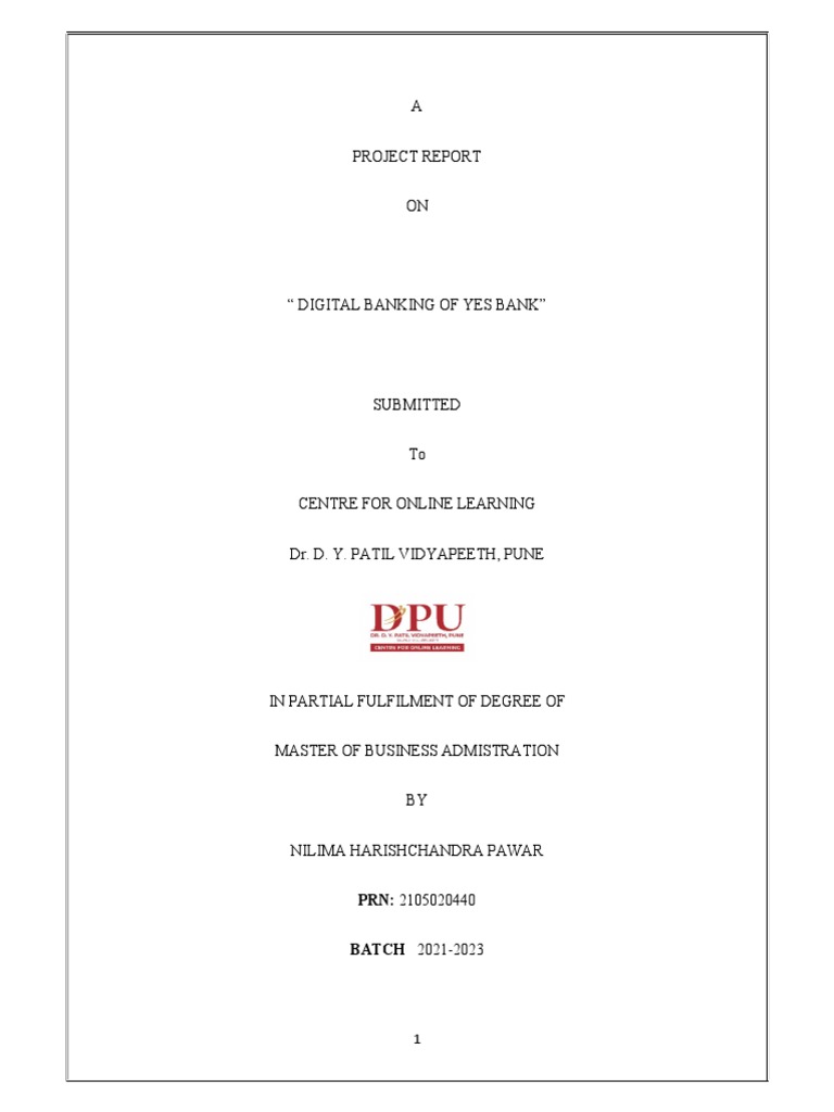 Example Project Report | PDF | Financial Services | Banking