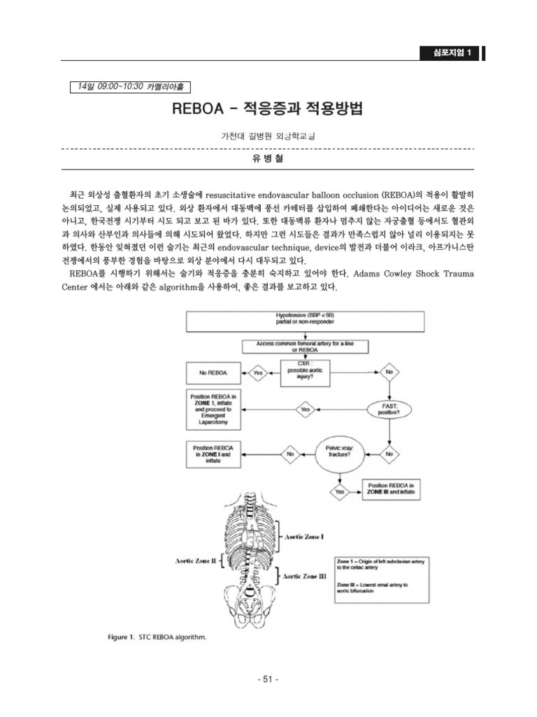Reboa | PDF