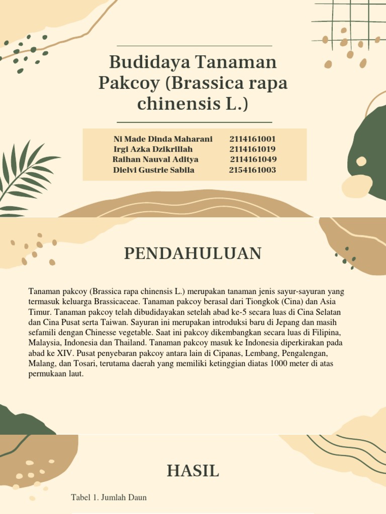 Panduan Budidaya Pakcoy | PDF