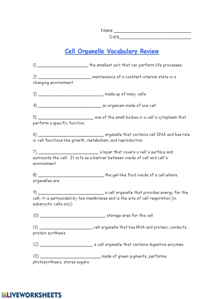 Grade 4 Cell Structure Quiz | PDF