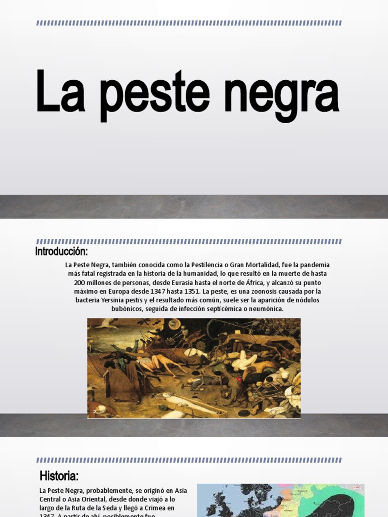 La Peste Negra | PDF | Muerte negra | Enfermedades animales