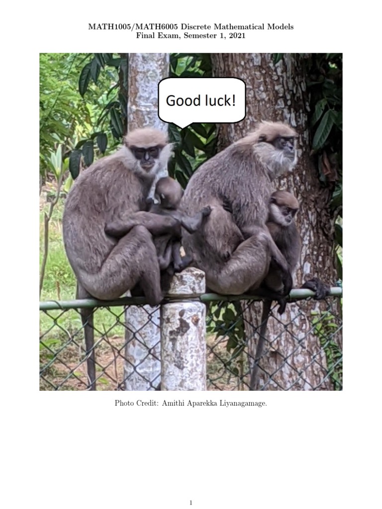 MATH1005 Final Exam From 2021 | PDF | Matrix (Mathematics) | Applied Mathematics