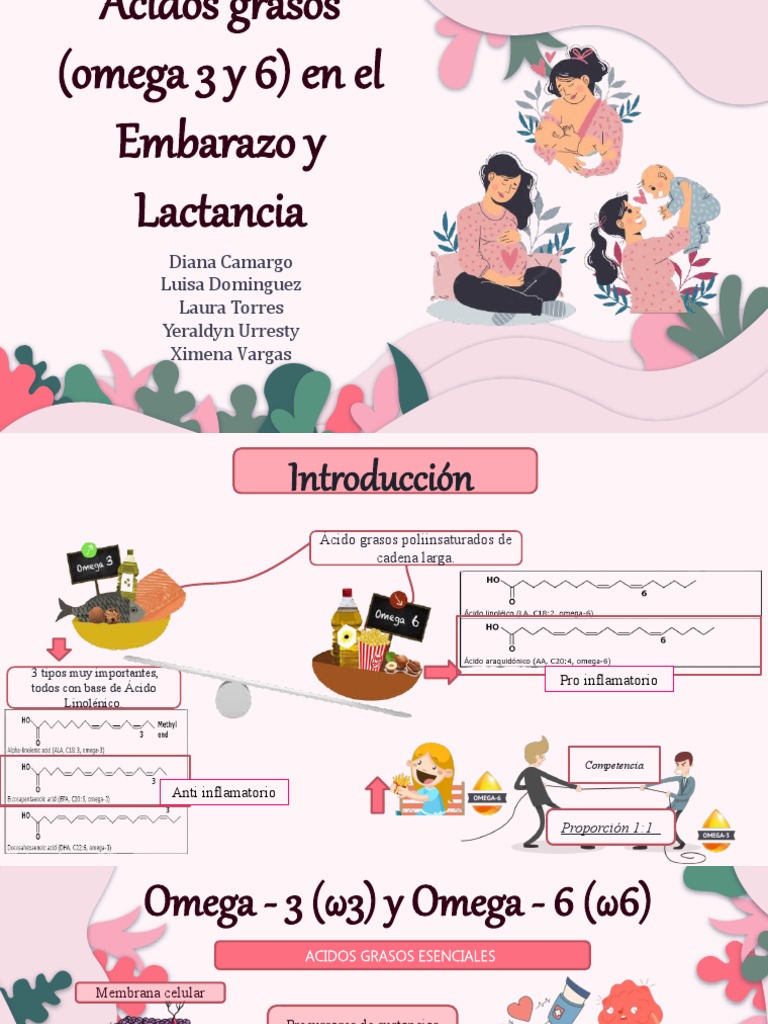 Acidos Grados Omega 3 & 6 en El Embarazo y Lactancia | PDF | Ácido ...