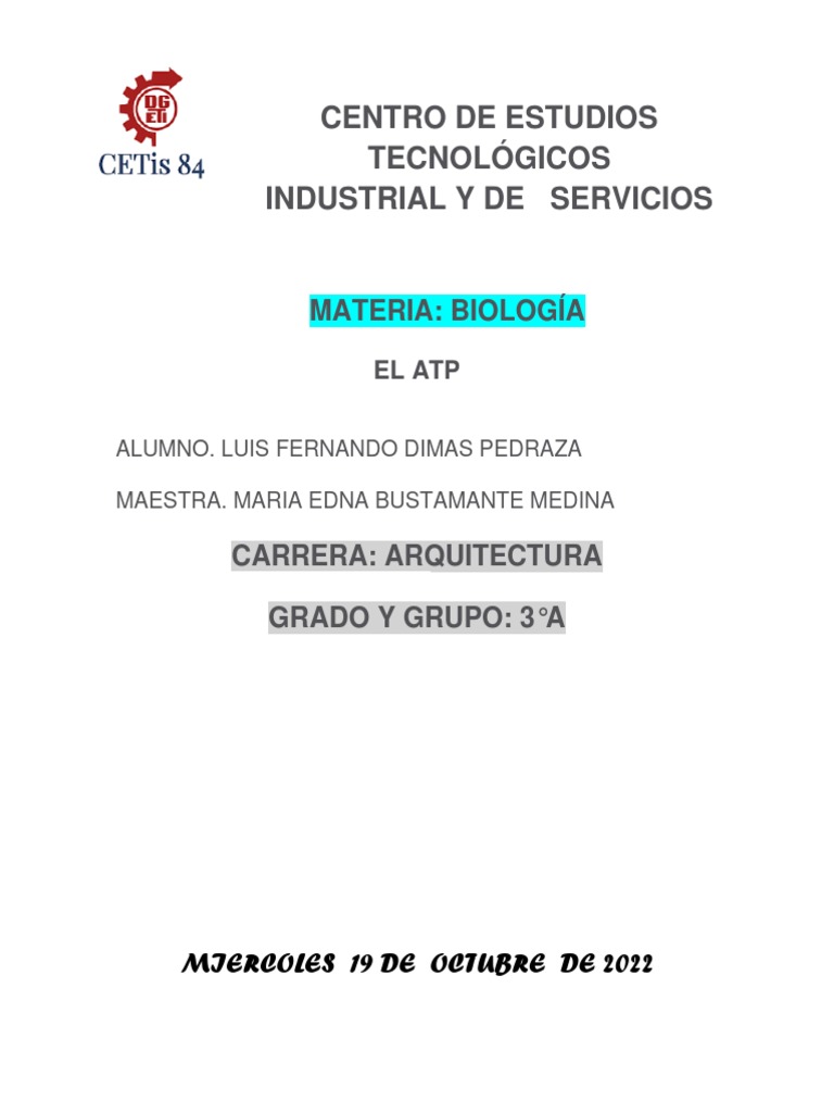 Atp Mapa Conceptual | PDF