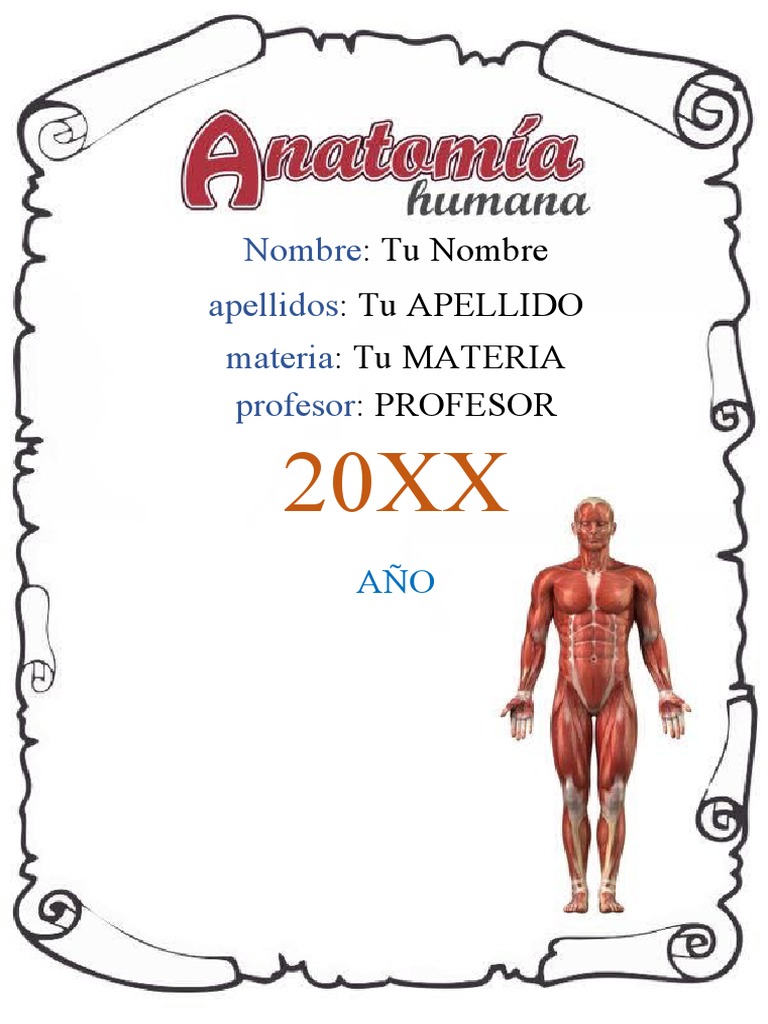 Caratula de Anatomía en Word | PDF