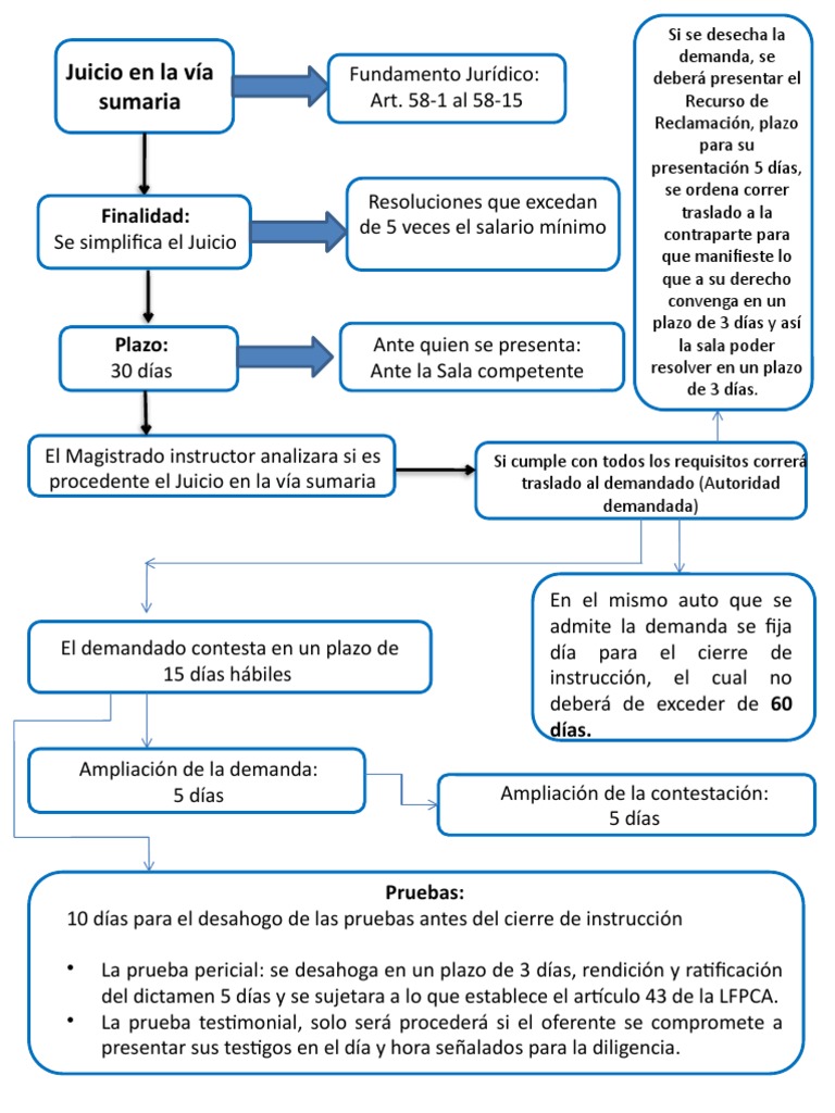 10 Juicio Via Sumaria | PDF | Sentencia (ley) | Judicaturas