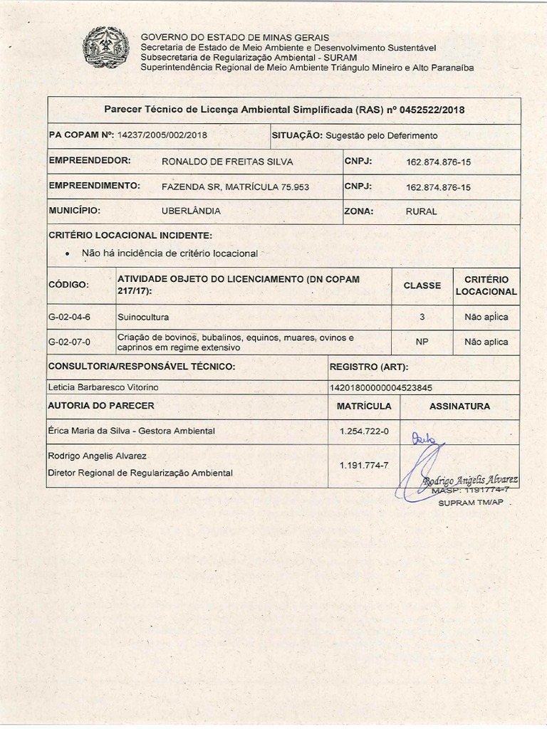 MODELO EXEMPLO LAS RAS | PDF