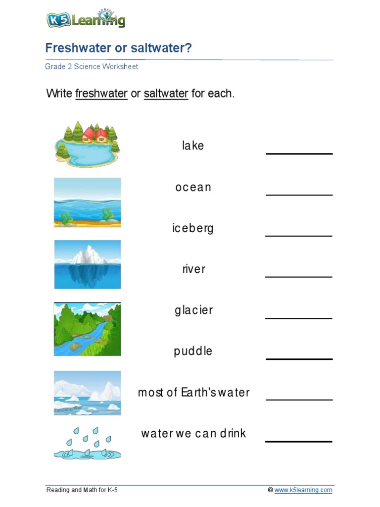 Grade 2 Water Properties B | PDF