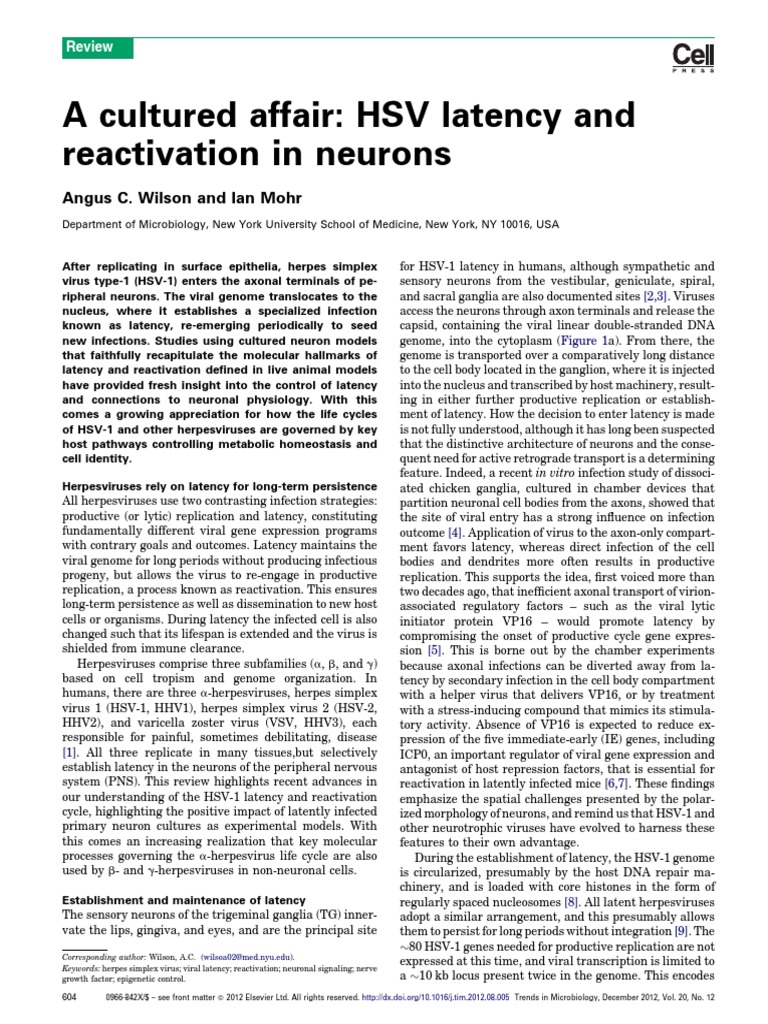 HSV-1 Latency and Neuronal Reactivation | PDF | Virus | Gene Expression