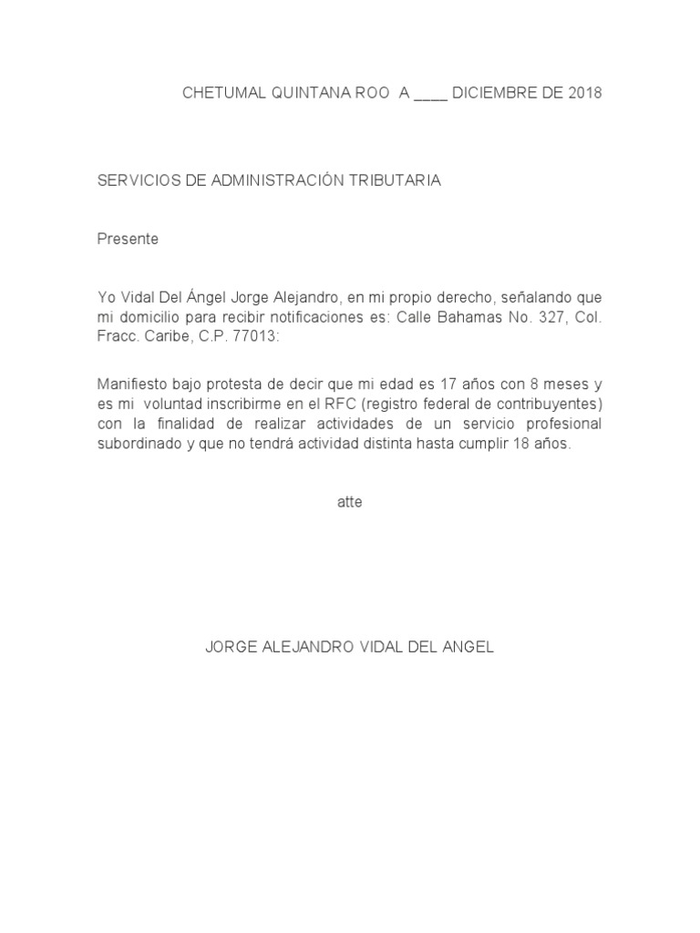 Menor de Edad Sat | PDF