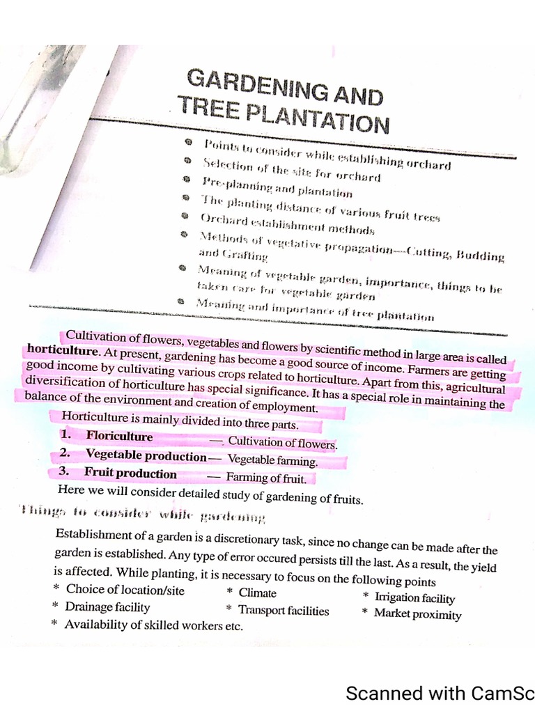 Agriculture Chapter Gardening and Tree Plantation | PDF