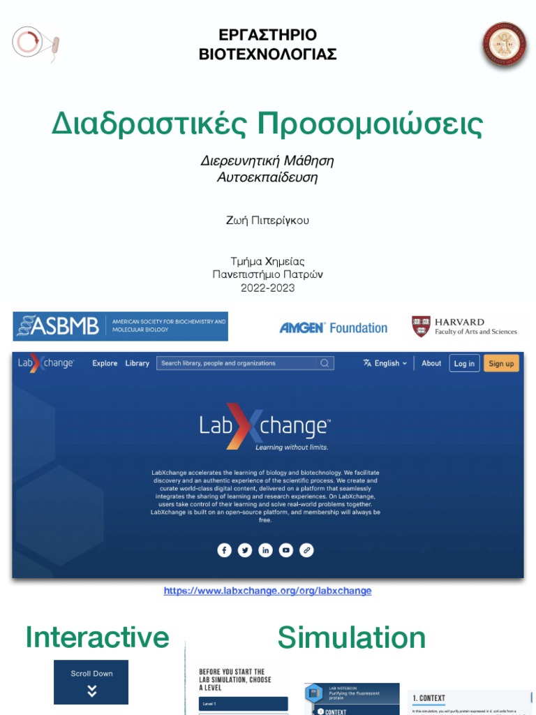 Stimulations - LabXchange 2023 | PDF