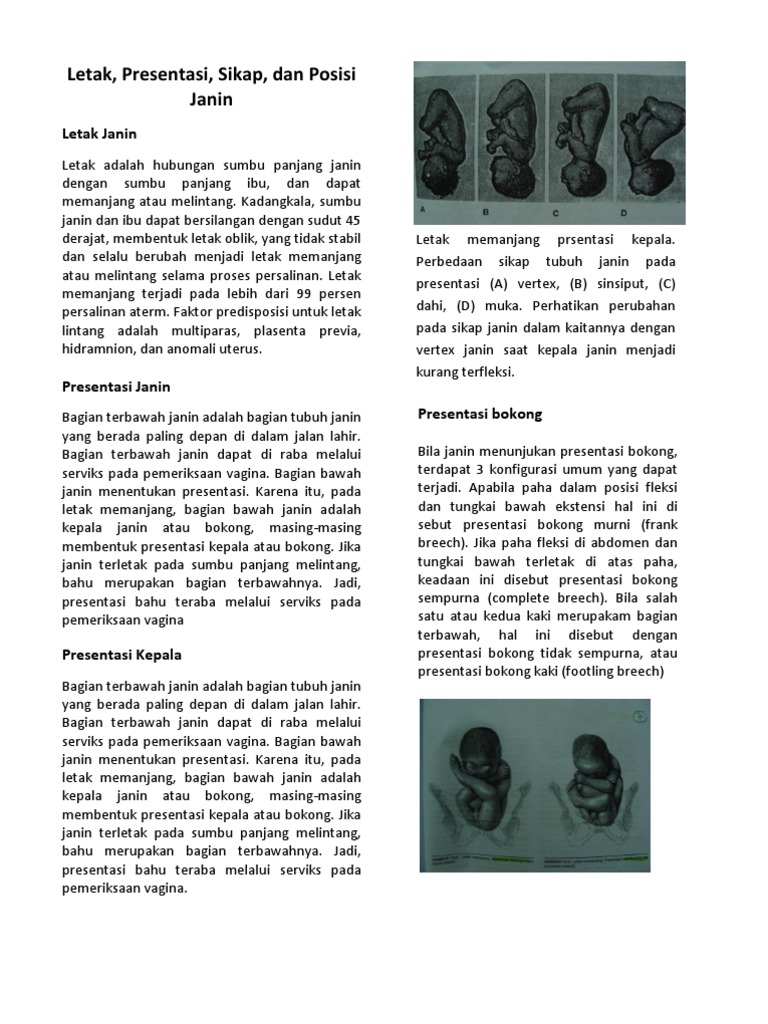 Posisi dan Presentasi Janin | PDF | Kesehatan Holistik