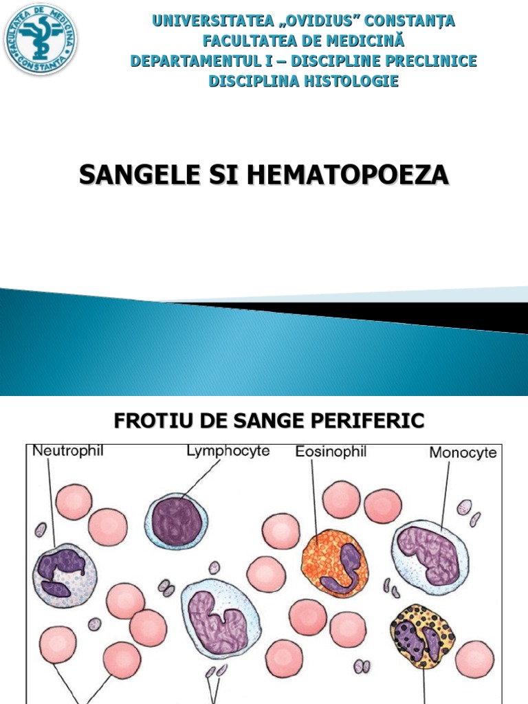 Sangele Si Hematopoeza | PDF