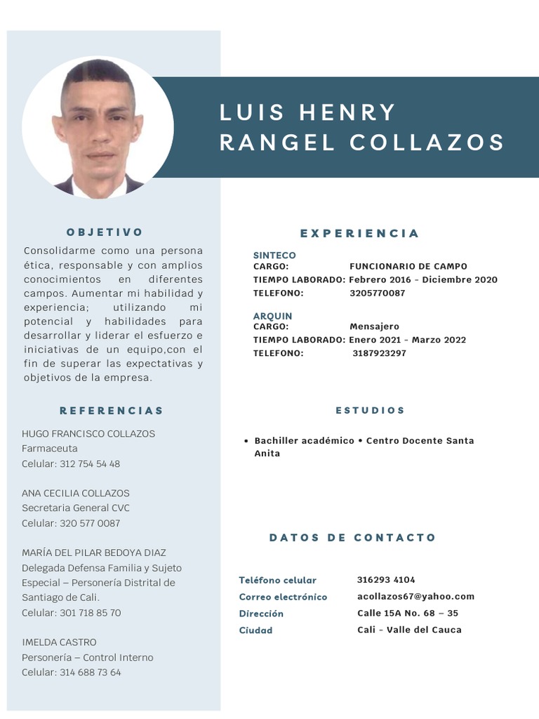 Luis Henry Rangel Collazos: Perfil Profesional | PDF