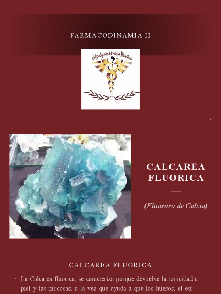 Calcarea Fluorica | PDF