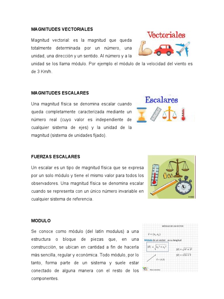 Magnitudes Vectoriales | PDF